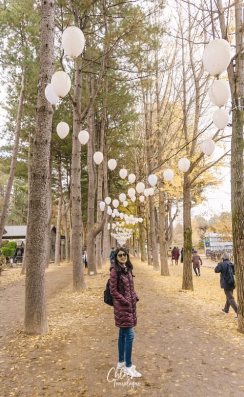 Autumn in Korea: What to Do in Nami Island and Garden of Morning Calm