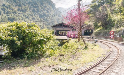 Wulai Hot Spring | Resort Review + 7 Things to Do in Wulai