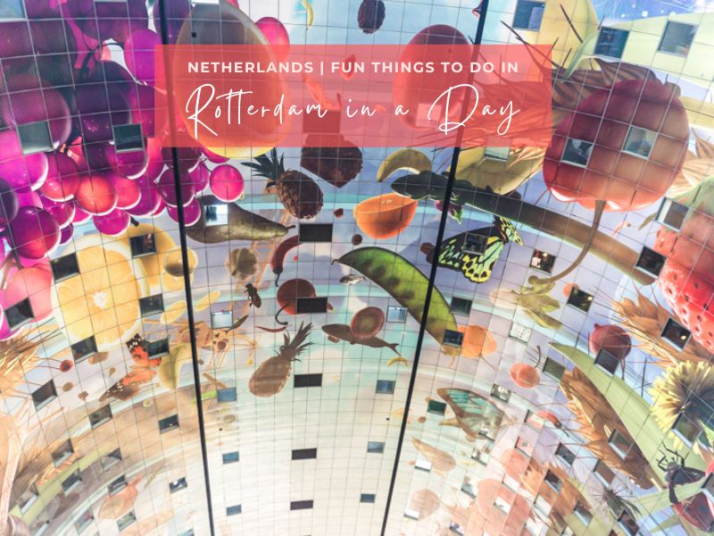 12 Fun Things to do in Rotterdam in a day (The Netherlands)