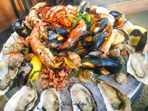 12 Fun Things to do in Rotterdam in a day (The Netherlands)